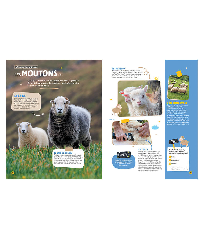 Ma visite à la ferme