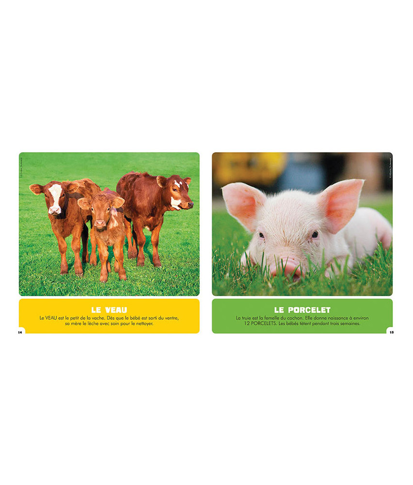 Mon premier imagier, les bébés animaux