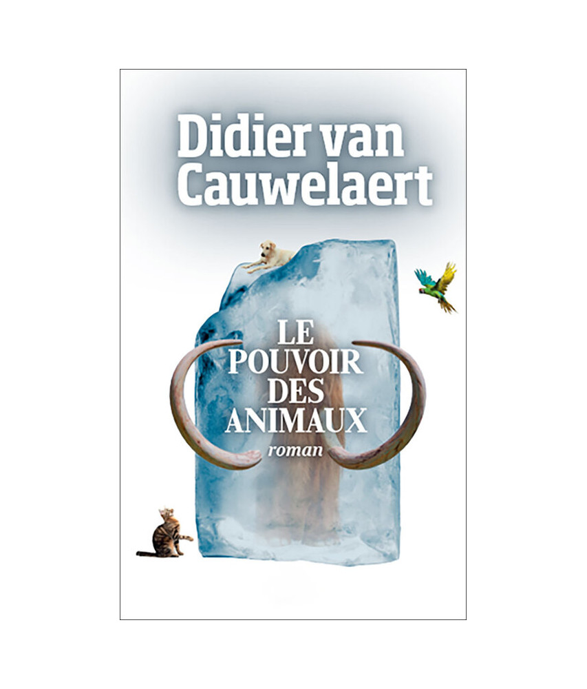 Le pouvoir des animaux