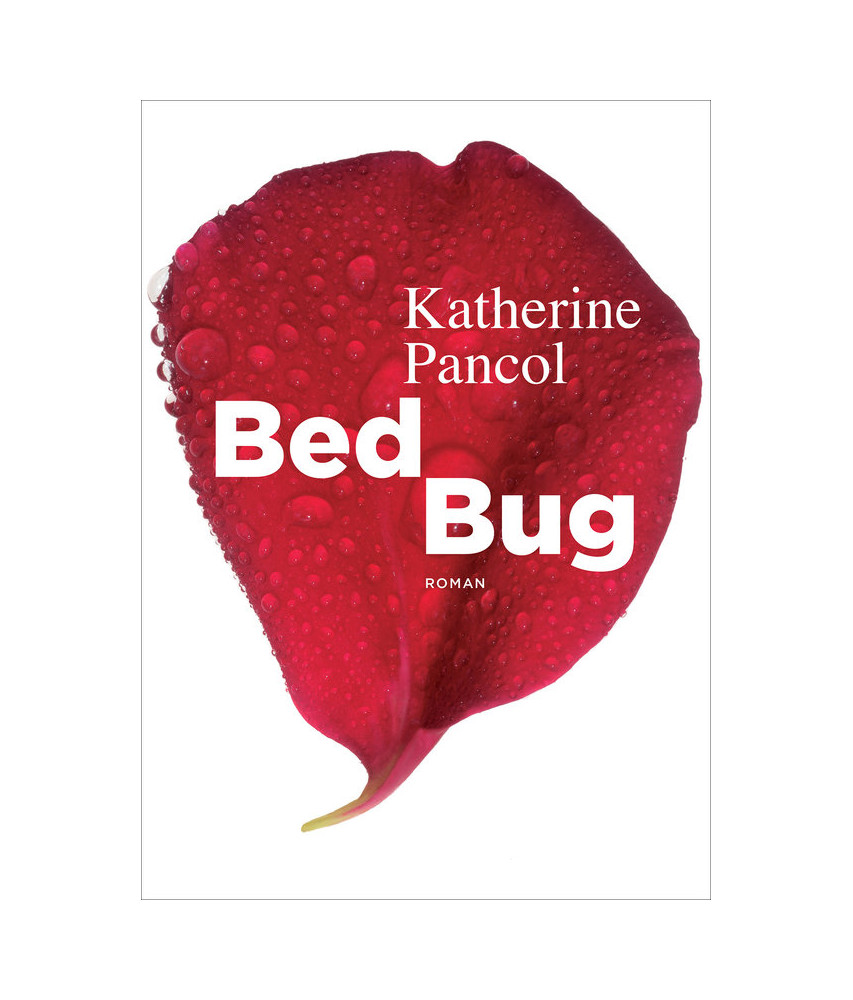 Bed bug Bed bug